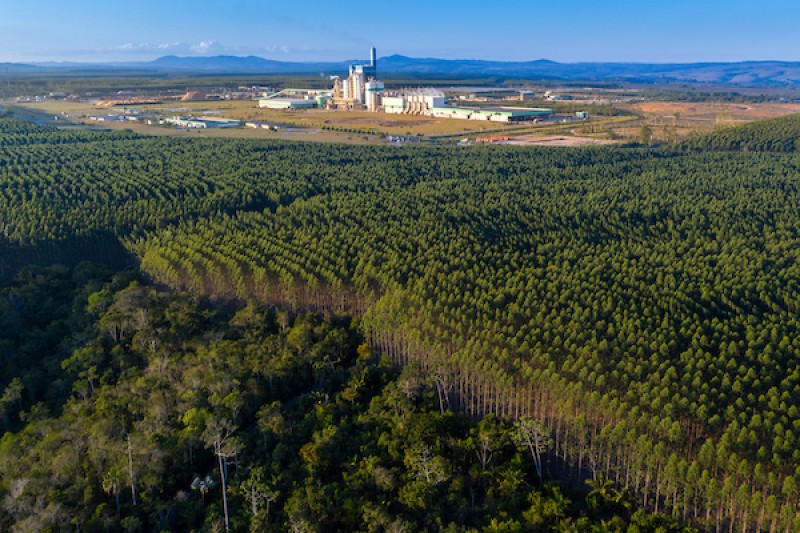 Veracel abre oportunidades nas áreas de Compras e Compliance - Bahia ...